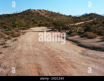 Desert Road. Cactus, lines Stock Photo - Alamy