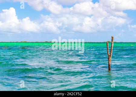 Muyil Lagoon panorama view landscape nature turquoise water Mexico ...