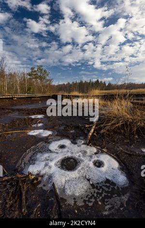 Nature reserve Soos, Western Bohemia, Czech Republic Stock Photo - Alamy