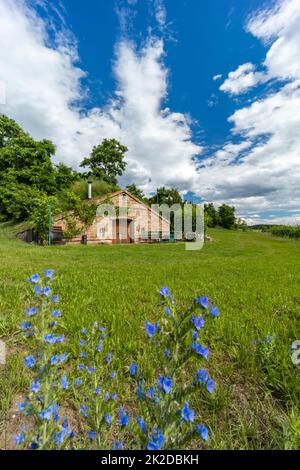 Wine cellars and vineyard in Palava region, Southern Moravia, Czech ...
