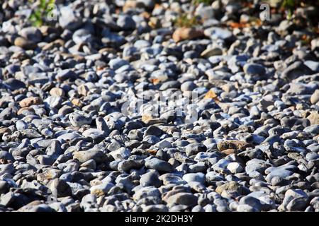 Narrow heath with flint fields Stock Photo - Alamy