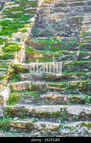 Ancient Mayan site texture temple ruins pyramids artifacts Muyil Mexico ...