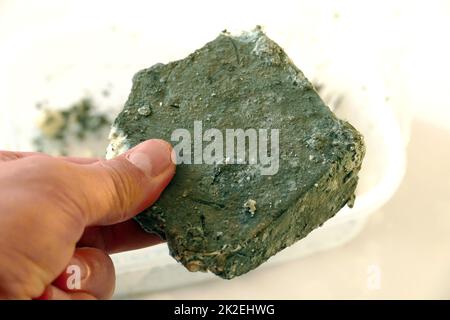 moldy cheese,close-up very moldy cheese,penicillin raw material cheese ...