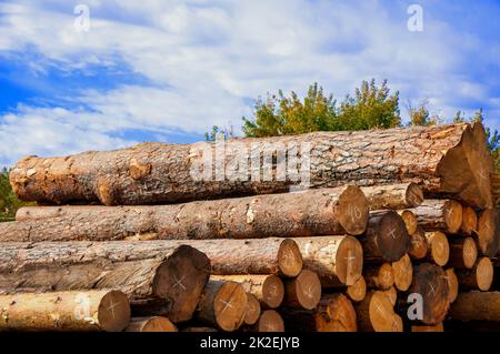 Untreated timber in the open air Stock Photo - Alamy