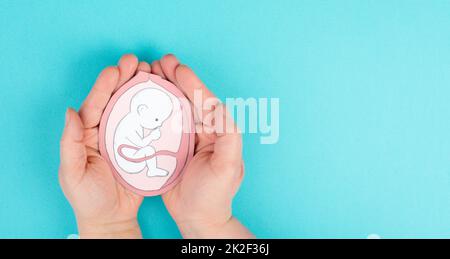 Unborn baby in the uterus, drawing of a fetus in the last trimester of ...