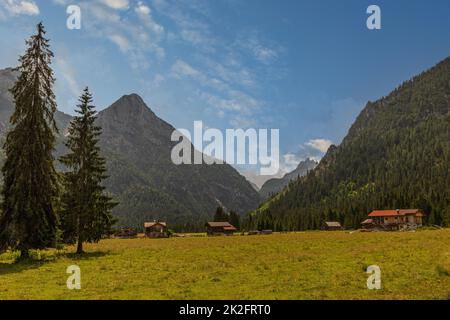 Typical alpine pastures Stock Photo - Alamy