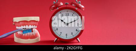 Time to brushing teeth. Clock alarm fork daily routine. Happy teenager ...