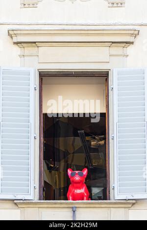 Pig looking out the window Stock Photo - Alamy