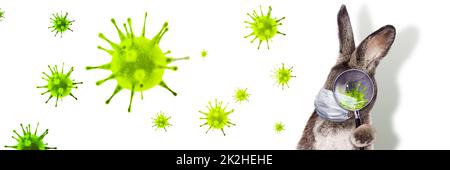 Easter rabbit with medical mask at epidemic time Stock Photo - Alamy