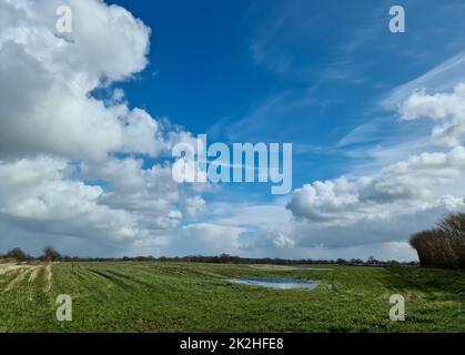 Panorama of a northern european country landscape with fields and green ...