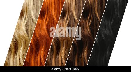 Various hair dyeing colors. Set of different natural hair color samples ...