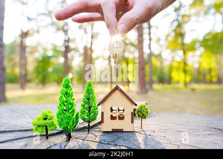 Miniature forest setup placed on a real tree stump in the woods ...