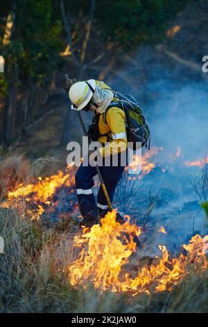 Combating the wild fire. fire fighters combating a wild fire Stock ...
