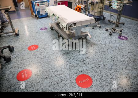 23 September 2022, Saxony, Leipzig: Markings like those for the ...