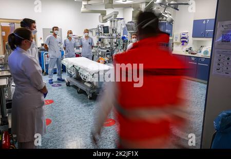 23 September 2022, Saxony, Leipzig: Markings like those for the ...