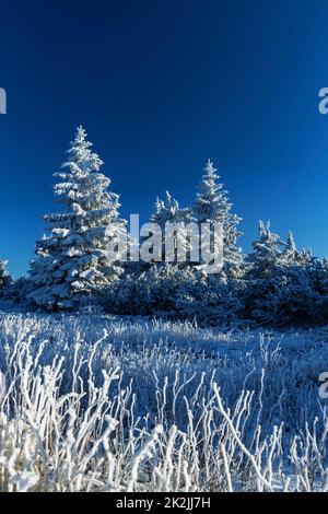 Winter landscape near Velka Destna, Orlicke mountains, Eastern Bohemia ...