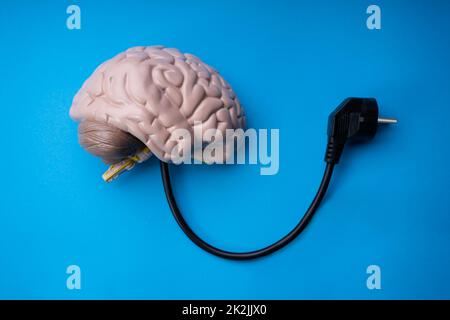 Refill Brain Intelligence With Socket Plug. Cognitive Idea Stock Photo ...
