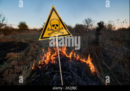 Burning dry grass and poison toxic sign. Yellow triangle with skull and ...