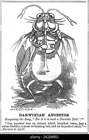 CHARLES DARWIN cartoon from Punch magazine in 1887 Stock Photo - Alamy