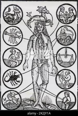 astrology, zodiac man, woodcut from "Fasciculus medicinae" by Johannes ...