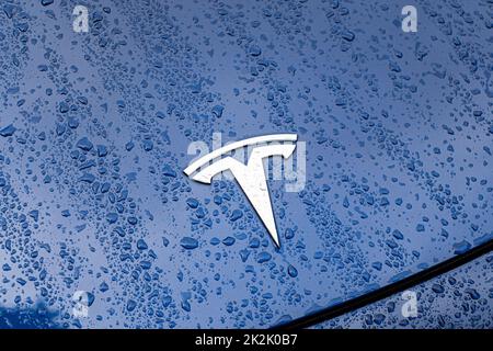 23 September 2022: Tesla car logo covered in rain drops Stock Photo - Alamy