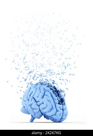 Shattered human brain. Stress concept. Isolated Stock Photo - Alamy