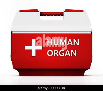 Human organ transport box isolated on white background. 3D illustration ...