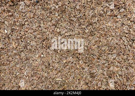 Unpackaged dill seeds sold in cloth bags at seed shops, a large amount ...