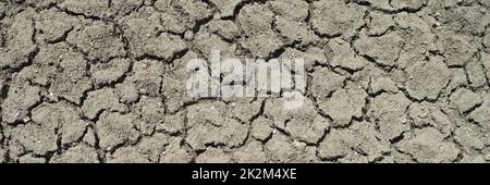 Cracking and splitting of soils due to thirst-soil erosion and drought ...