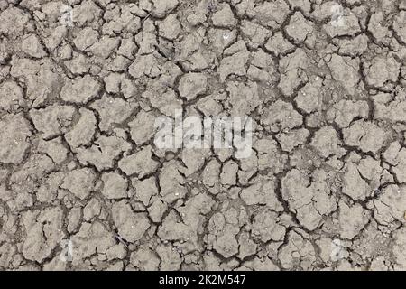 Cracking and splitting of soils due to thirst-soil erosion and drought ...