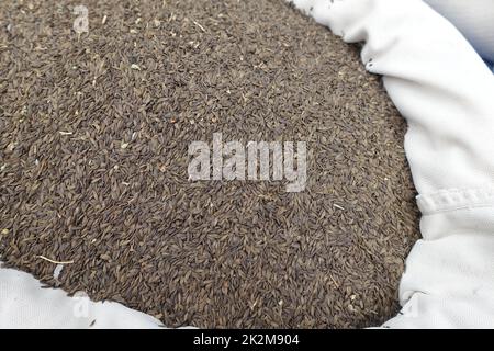 Seed seller selling unpackaged parsley seeds, organic seeds sold in ...
