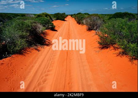 Typical red sand track in Australia's Outback Stock Photo - Alamy