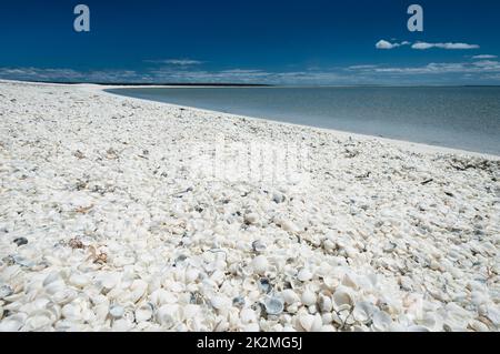 Outstanding Shell Beach at Shark Bay Stock Photo - Alamy