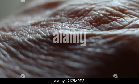 Human skin close up. Structure of Skin Stock Photo - Alamy