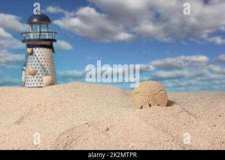 Lighthouse With Seashell on Beach, Close up on Shell Shallow DOF Stock ...