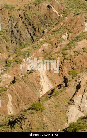 Hillside showing its different strata Stock Photo - Alamy