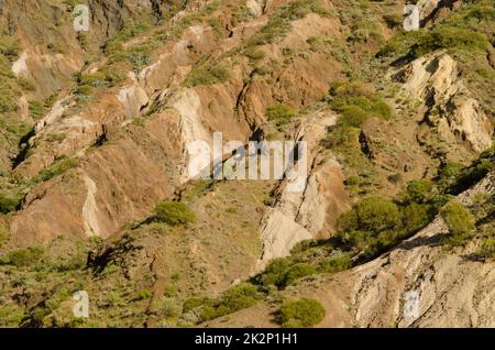 Hillside showing its different strata Stock Photo - Alamy