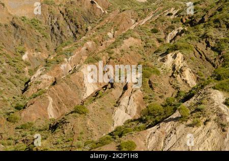 Hillside showing its different strata Stock Photo - Alamy