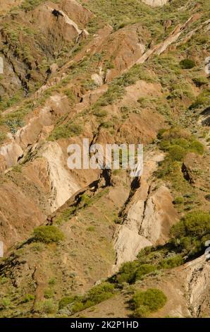 Hillside showing its different strata Stock Photo - Alamy