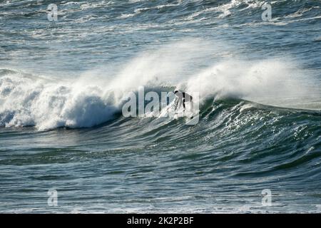 A surfer catching wave and doing turn wearing black wetsuit in morning ...