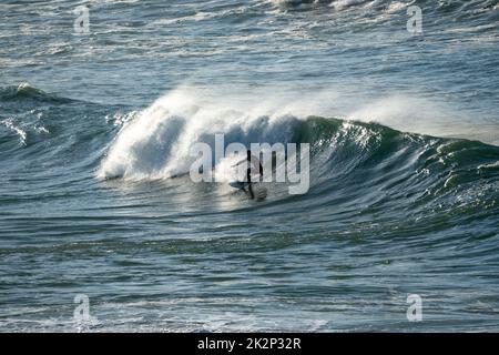 A surfer catching wave and doing turn wearing black wetsuit in morning ...