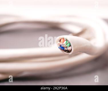 Cut up white network cable or patch cable in cross section Stock Photo ...