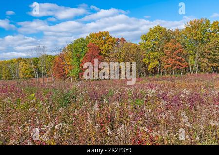 Fall Colors in the Prairie and the Forest Stock Photo - Alamy
