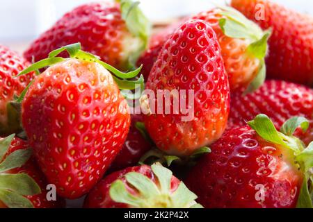 Strawberries in the spring sunshine Stock Photo - Alamy