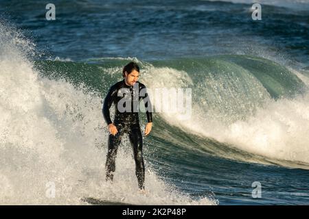 A surfer catching wave and doing turn wearing black wetsuit in morning ...