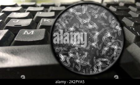 Searching for bacteria on computer keyboard Stock Photo - Alamy