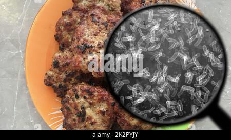 Searching for bacteria in meat Stock Photo - Alamy
