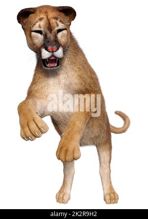 3D rendering of a big cat puma isolated on white background Stock Photo ...