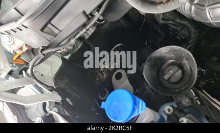 Mold in the engine compartment of an RV Stock Photo - Alamy