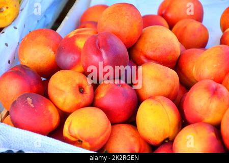 Ripe Nectarines (Latin Prunus persica) of the new harvest Stock Photo ...